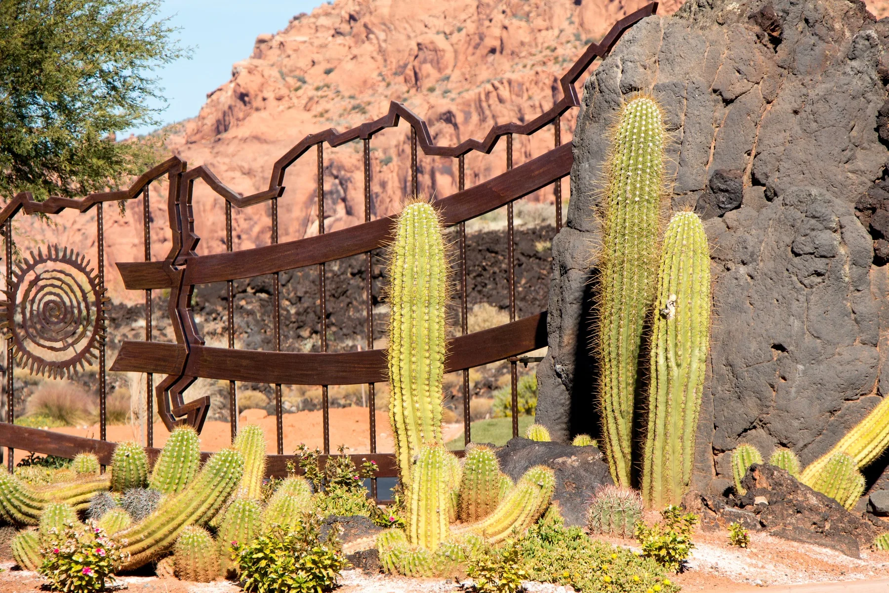 How to Make Desert Garden Planters That Will Thrive