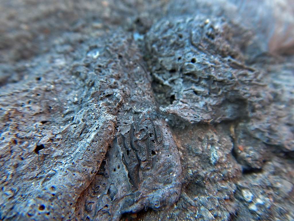 Burning Plastic Smell in House: Causes & Emergency Assessment